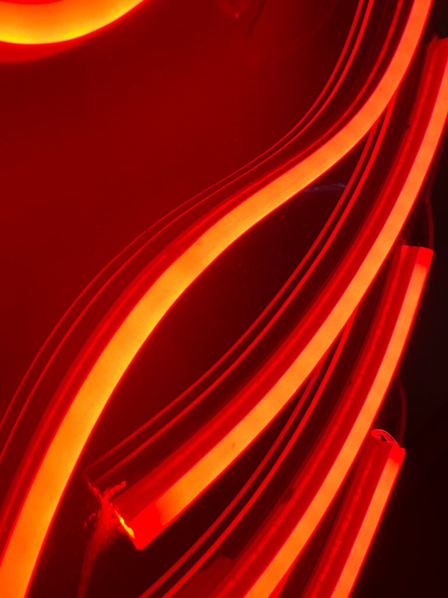 Neon Sports – Light Up Your Team Spirit With Neon Sports