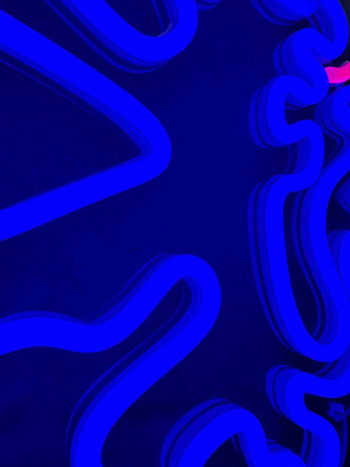 Neon Sports – Light Up Your Team Spirit With Neon Sports