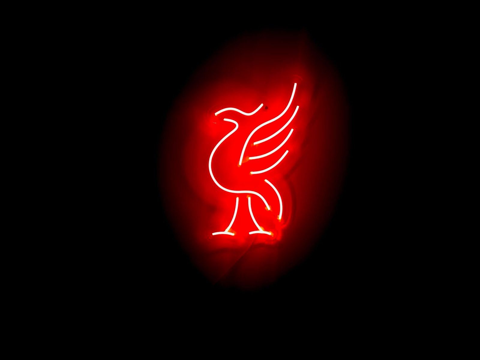 Neon Sports – Light Up Your Team Spirit With Neon Sports